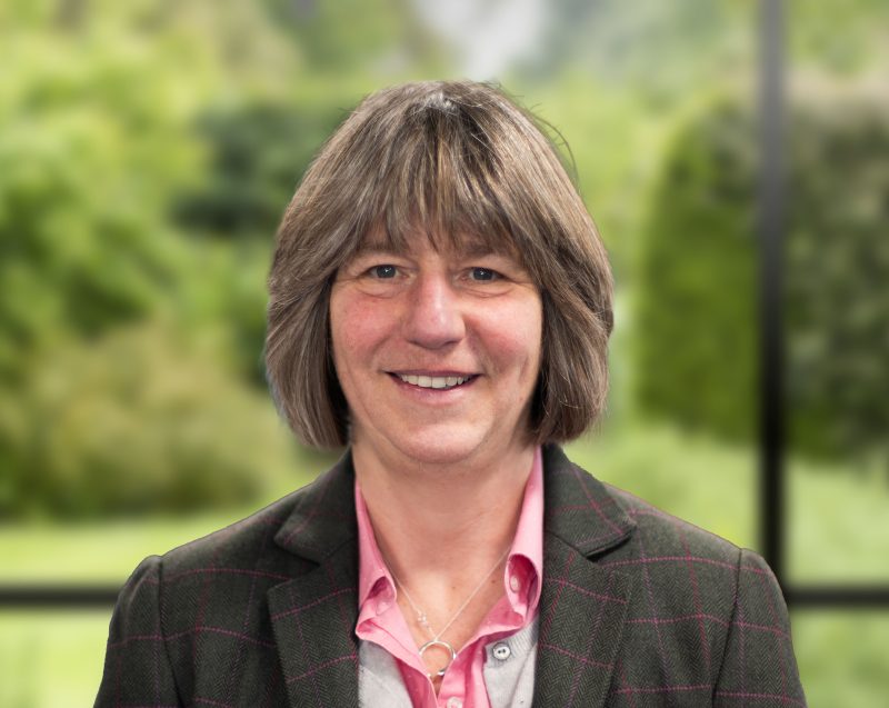 About - Nova Pangaea Technologies